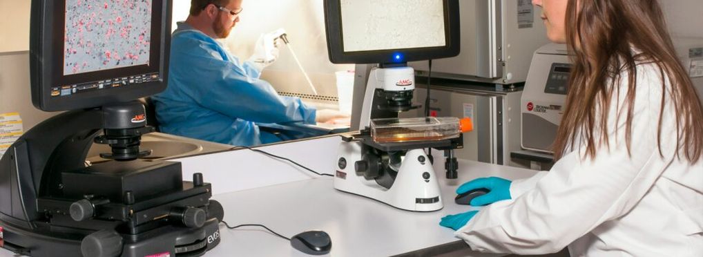 Assessing the ethical, technical and legal implications of using Deep ... Assessing the ethical, technical and legal implications of using Deep ...